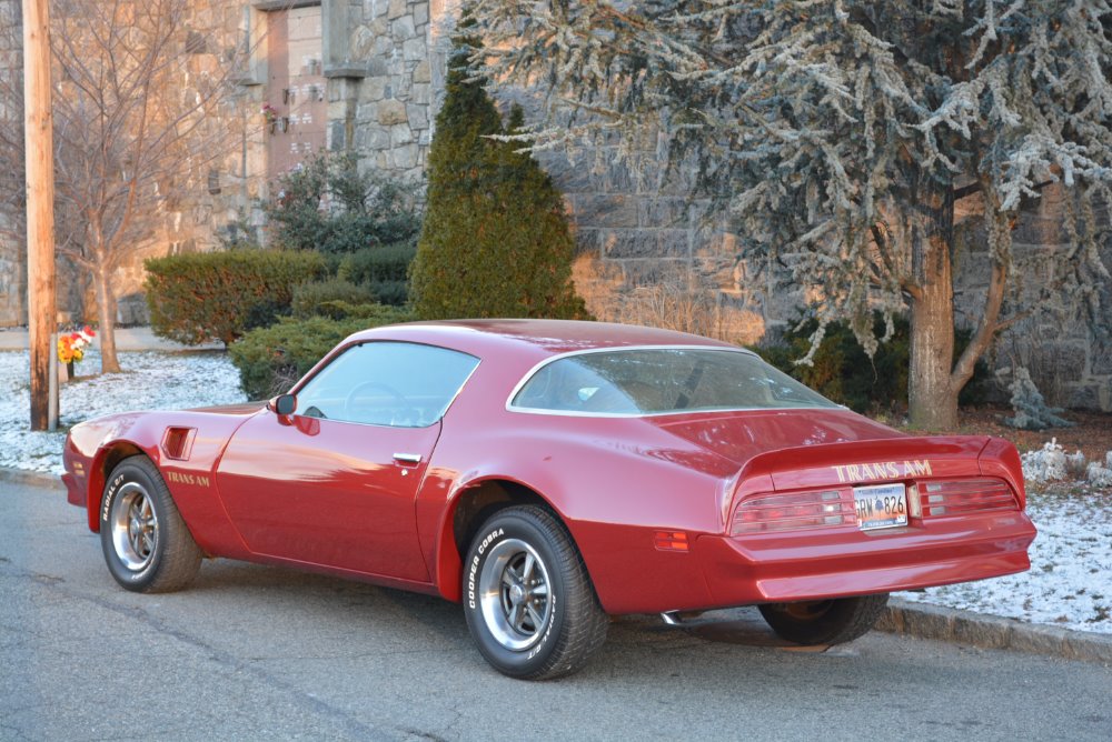 1976 Pontiac Trans Am Stock # 20841 for sale near Astoria, NY | NY ...